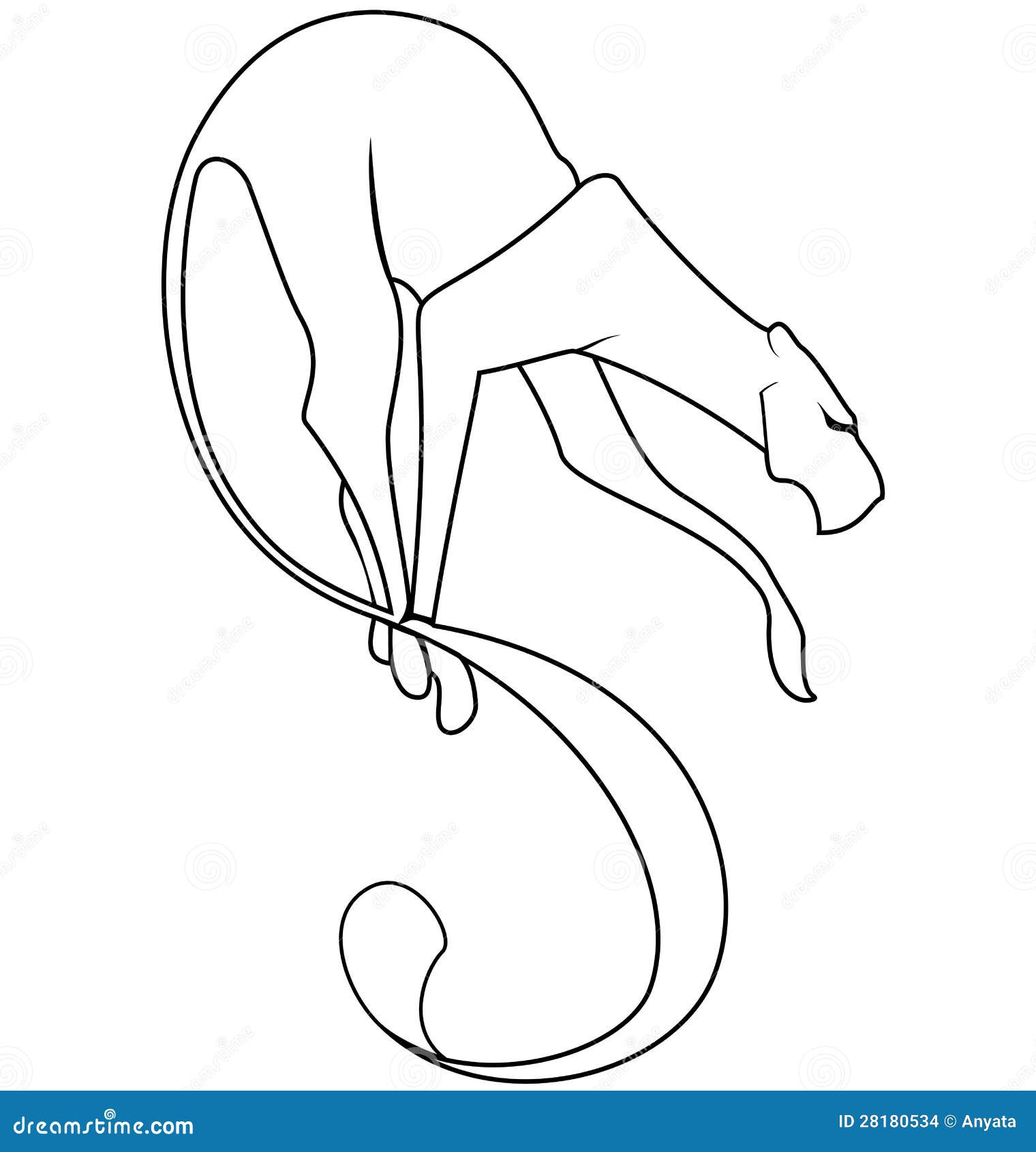 Black and White Panther Tail Vector Stock Vector - Illustration of curl ...