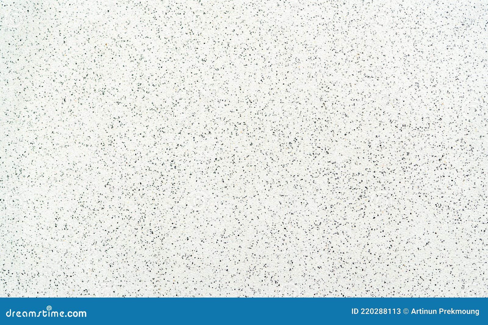 Black and White Pattern of Terrazzo Floor Texture Background. Terrazzo ...