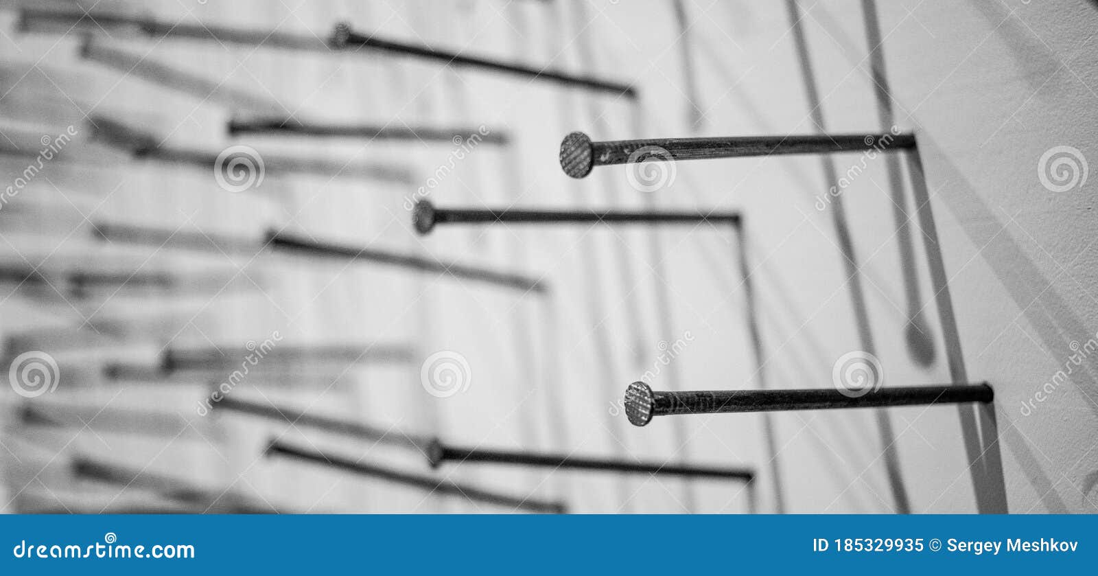 Black and White Photo of Construction Nails that are Driven into the ...