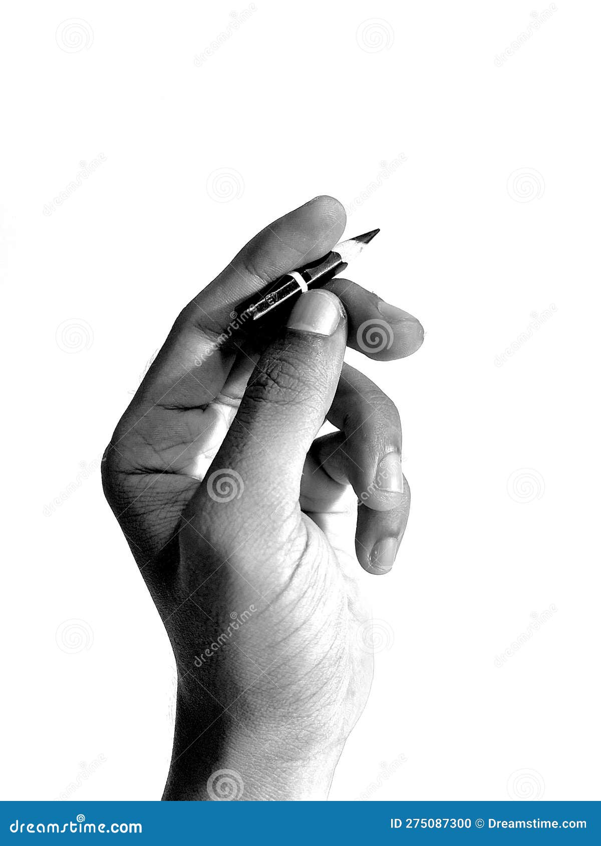 Black and White Photo Hand Holding Pencil Stock Photo - Image of black ...