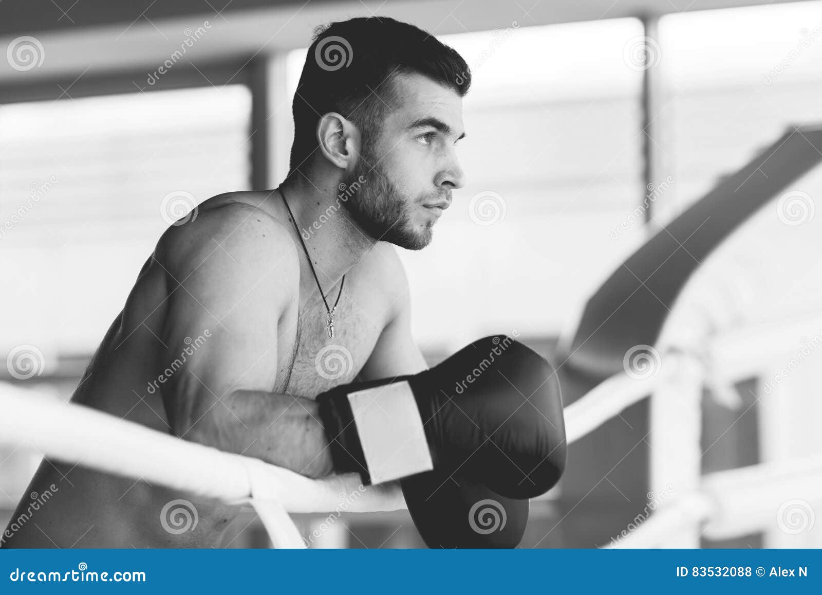 Black-white Photo of Handsome Boxer Stock Photo - Image of boxing ...