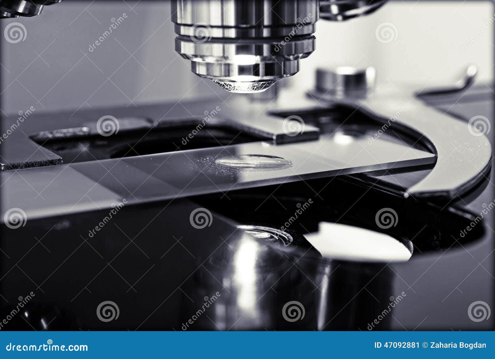 Black and White Photo of Microscope Lenses Focused on a Specimen Stock ...
