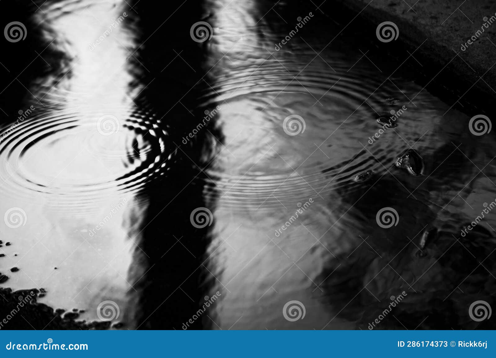 Black and White Photo of Raindrop Ripples in Puddle. Stock Image ...