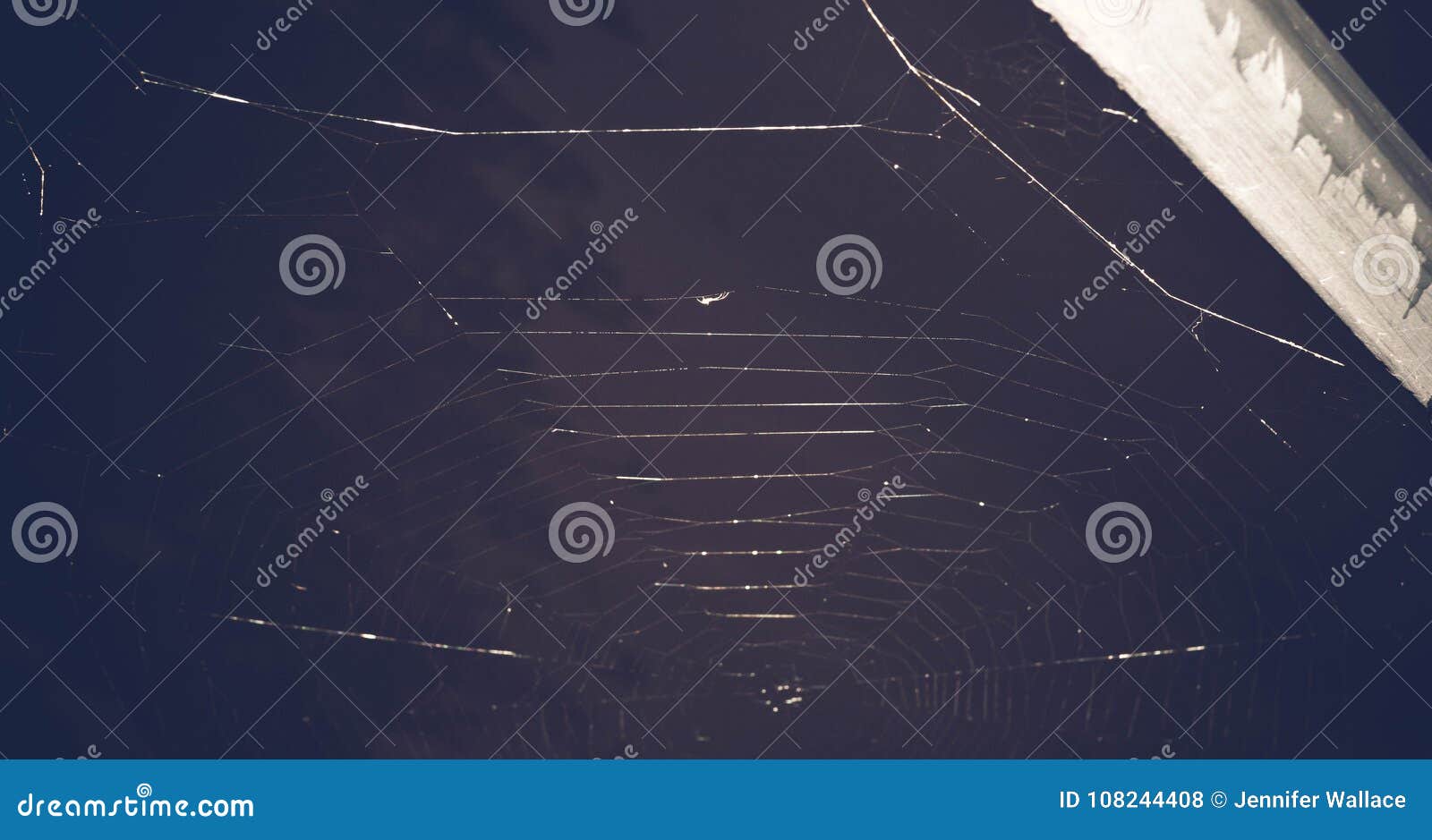 Black and White Photo of a Spiderweb on a Bridge at Night Stock Photo ...