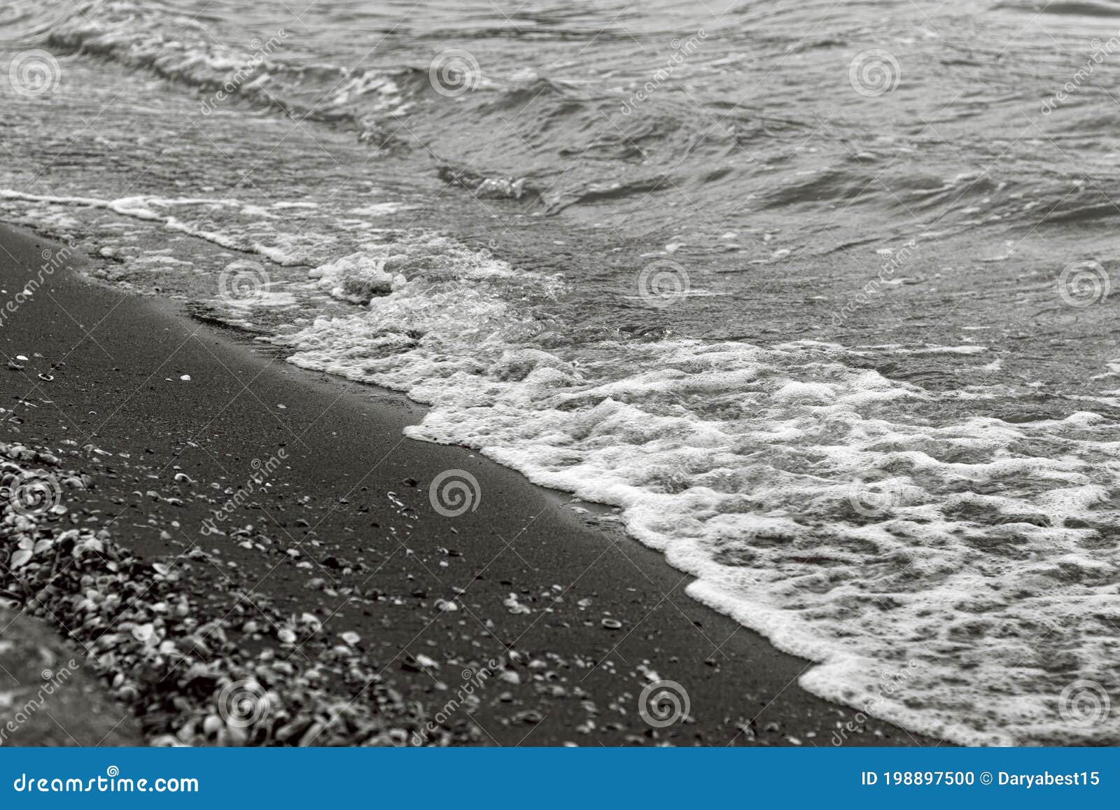 Black and White Picture of Ocean Waves on the Beach with Shells Stock ...