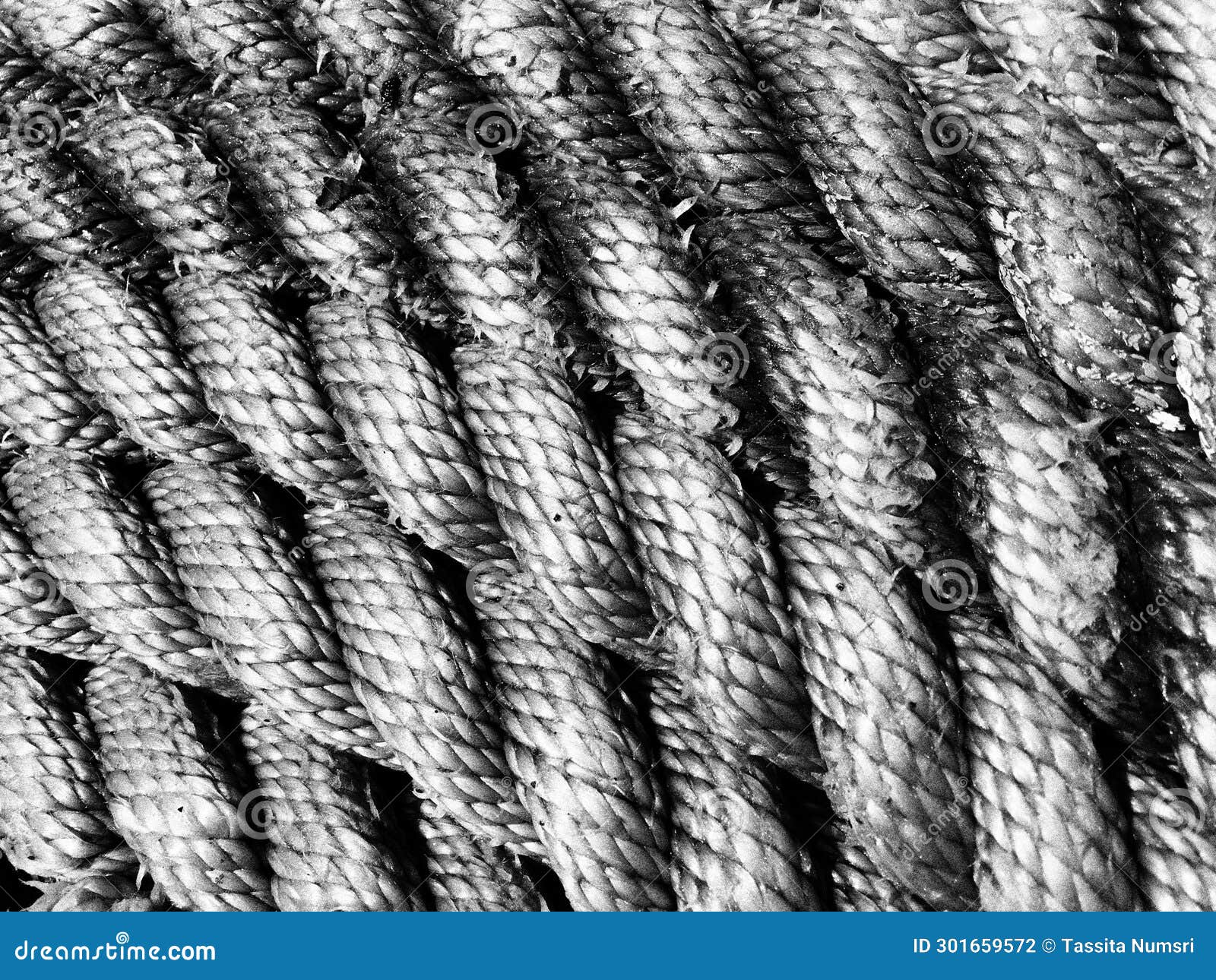 Black and White Picture of a Problem Rope Stock Photo - Image of rope ...