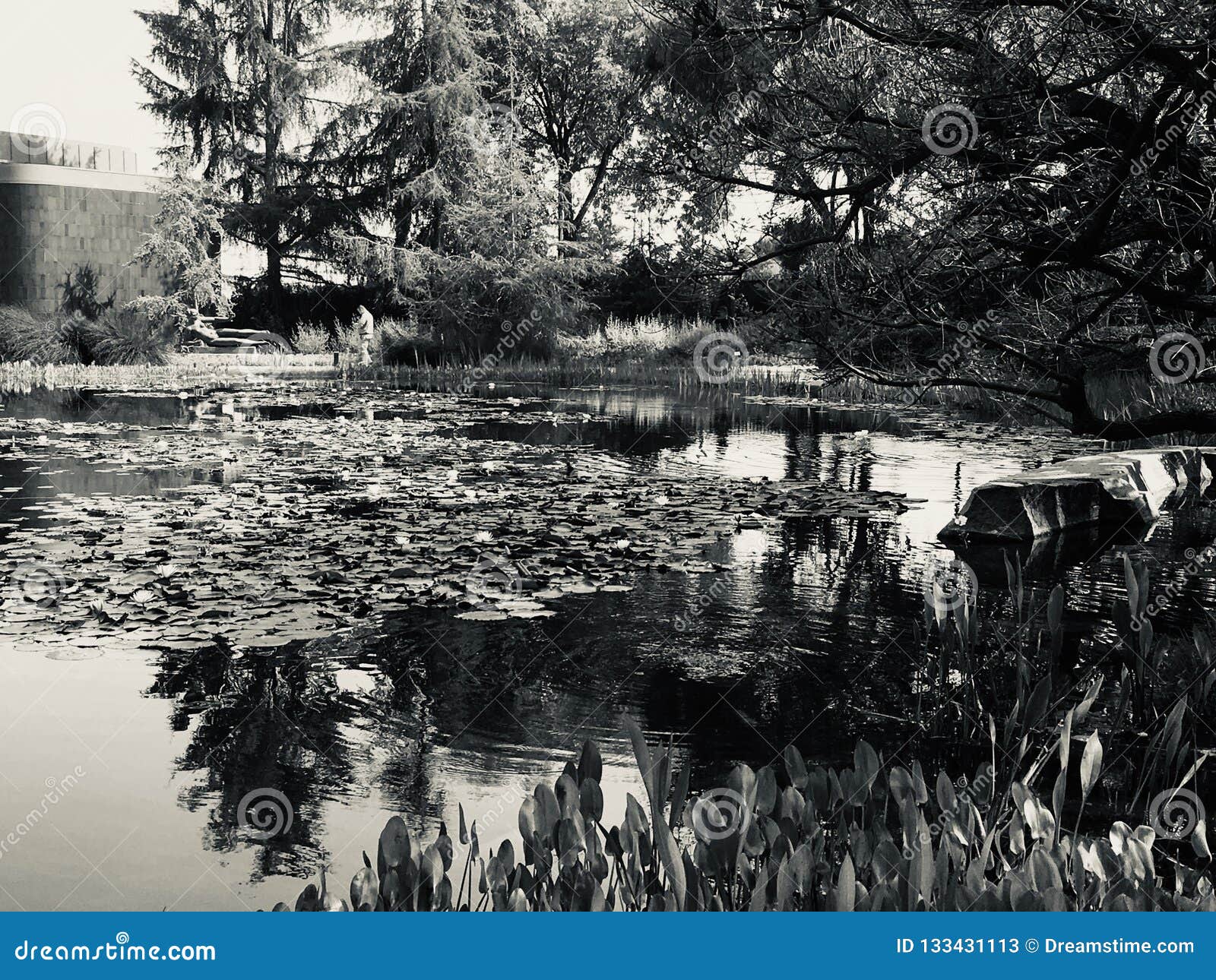 Black and white pond stock image. Image of museum, pond - 133431113