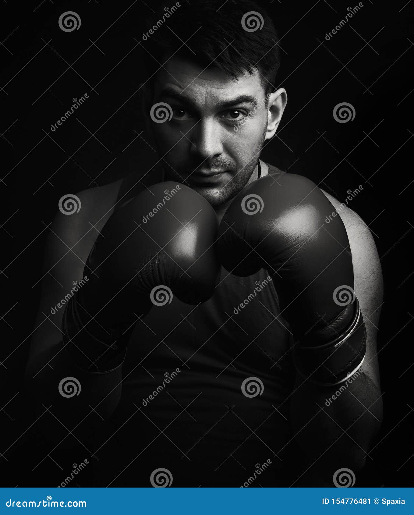 Portrait of a boxer stock image. Image of close, adult - 154776481
