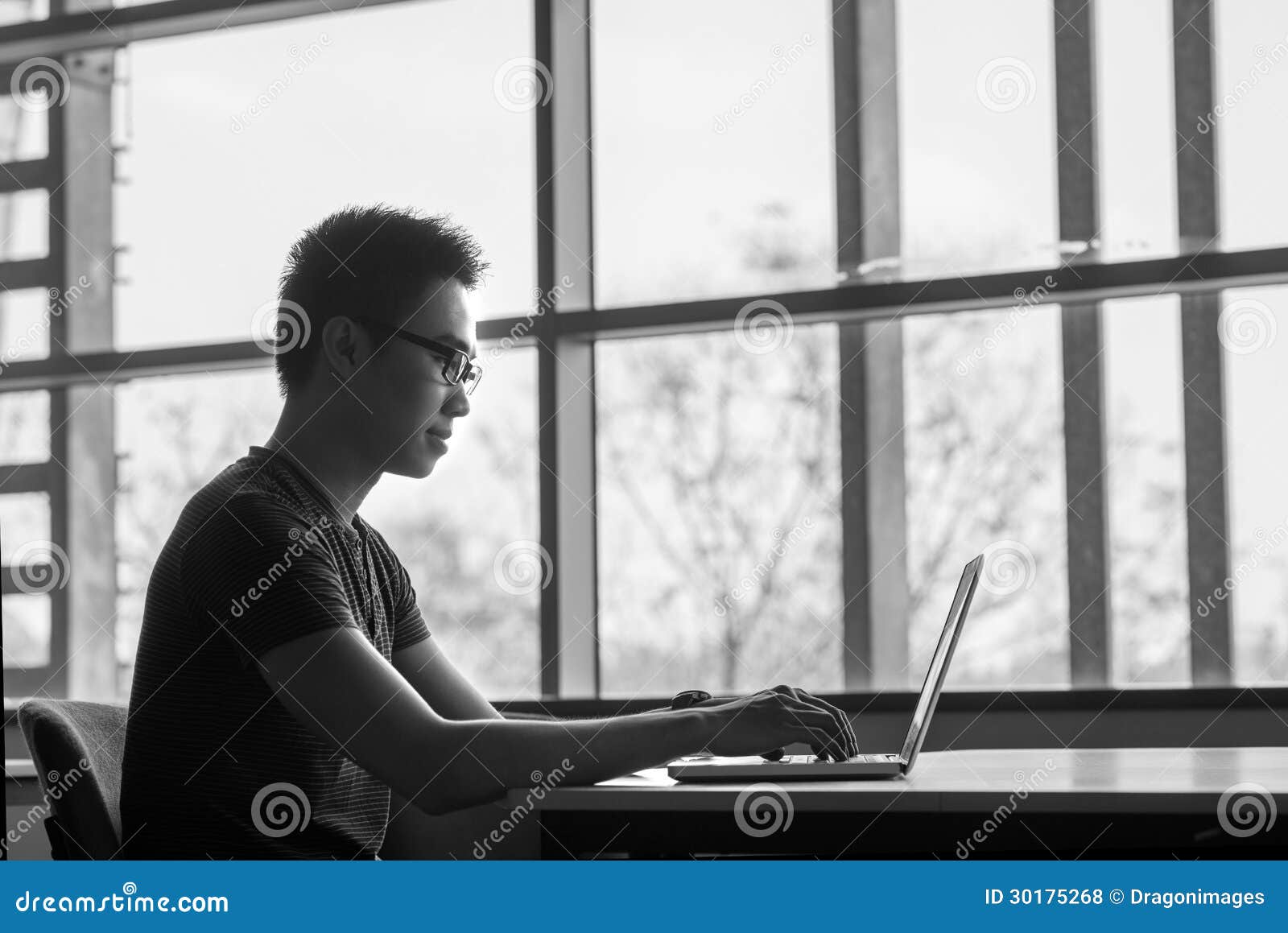 Programming stock photo. Image of learn, higher, lifestyle - 30175268