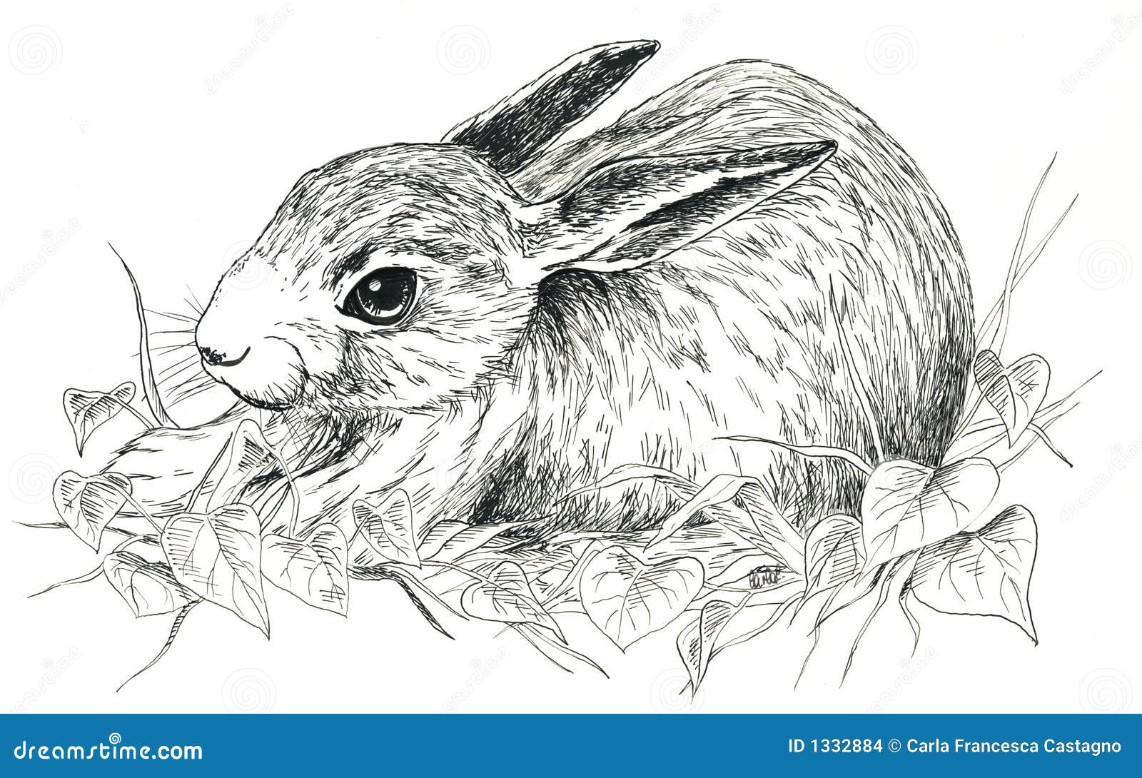 Black & white rabbit stock illustration. Illustration of hand - 1332884