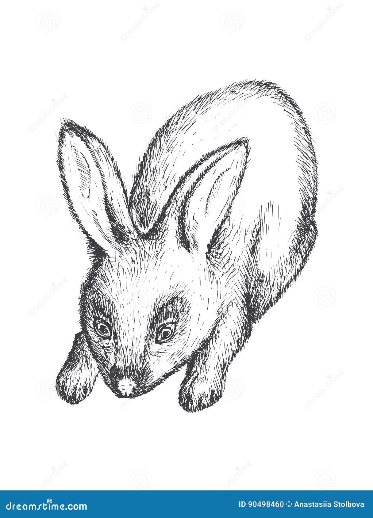 Black and White Rabbit Illustration Stock Vector - Illustration of ...