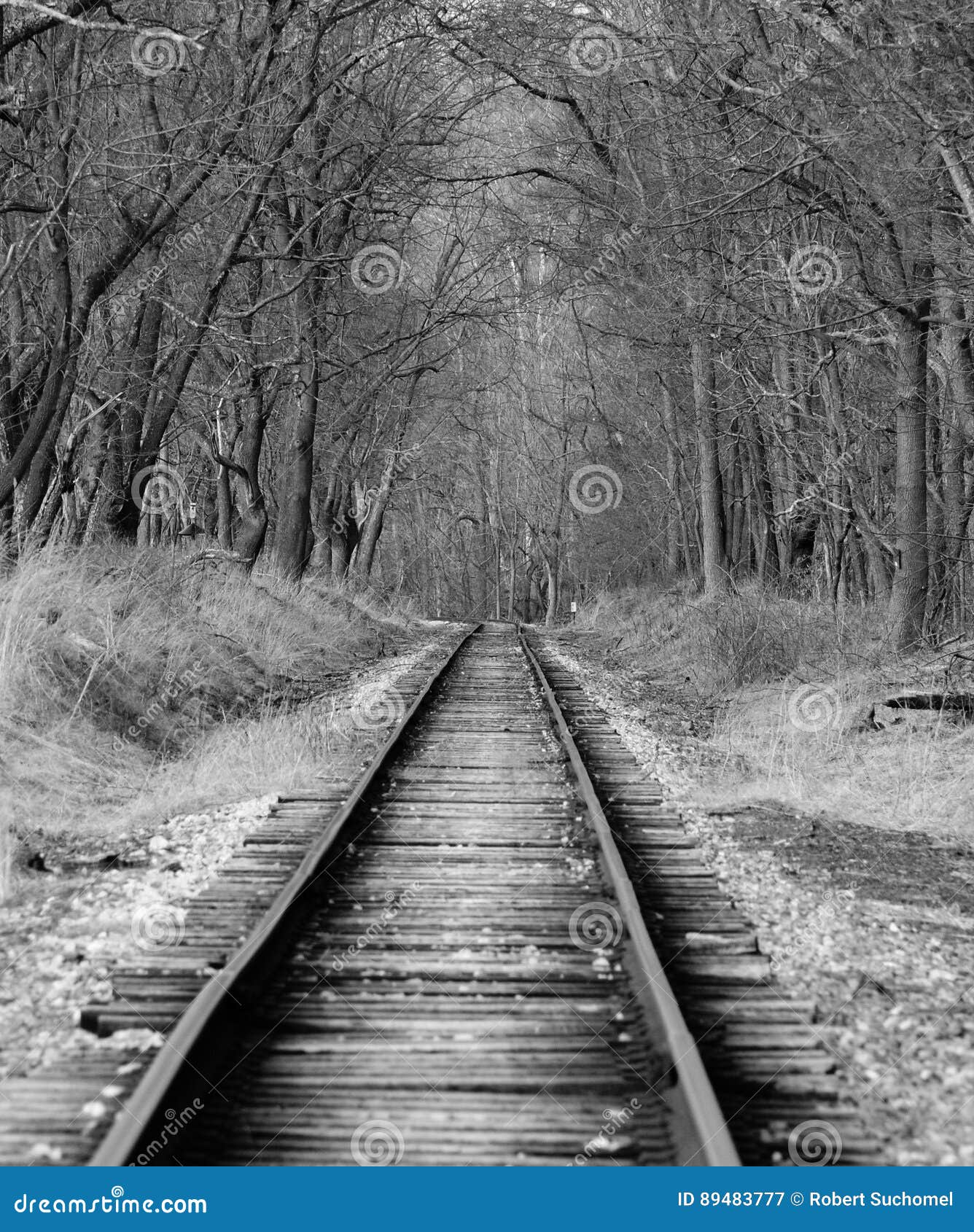 Black an White Rail Road Tracks Stock Image - Image of view, rail: 89483777