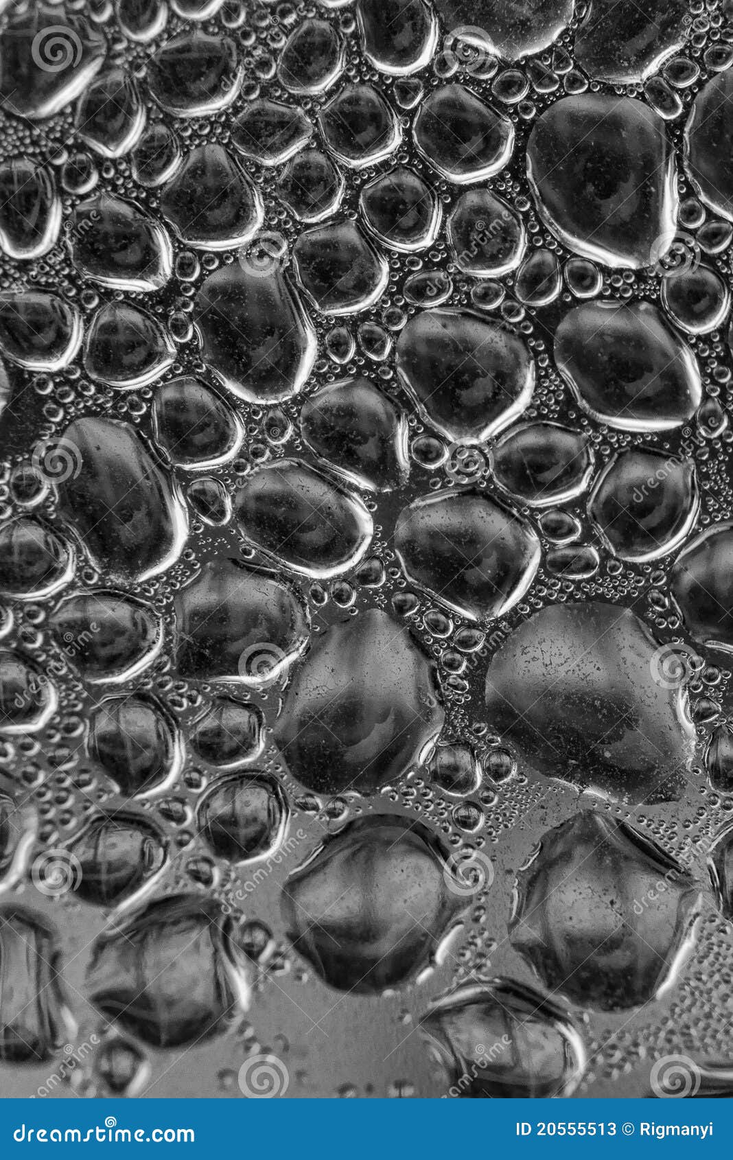 Black And White Raindrops