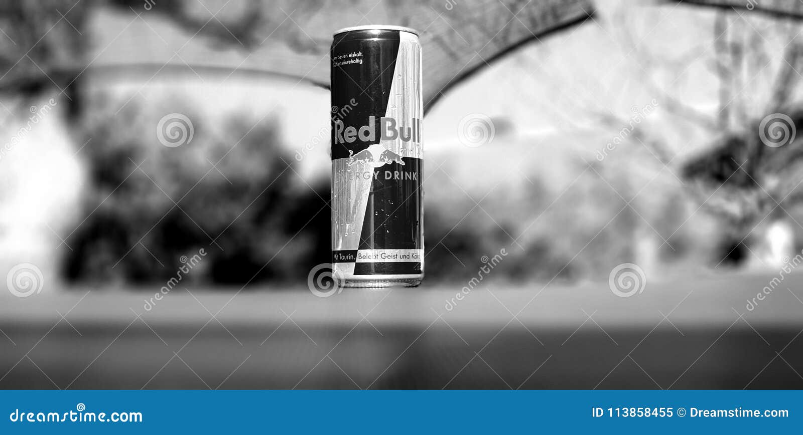 Black and white Red Bull editorial image. Image of good - 113858455