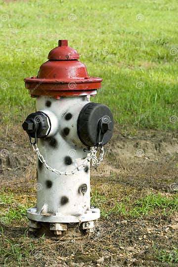 Black, White, and Red Fire Hydrant Stock Photo - Image of painted ...