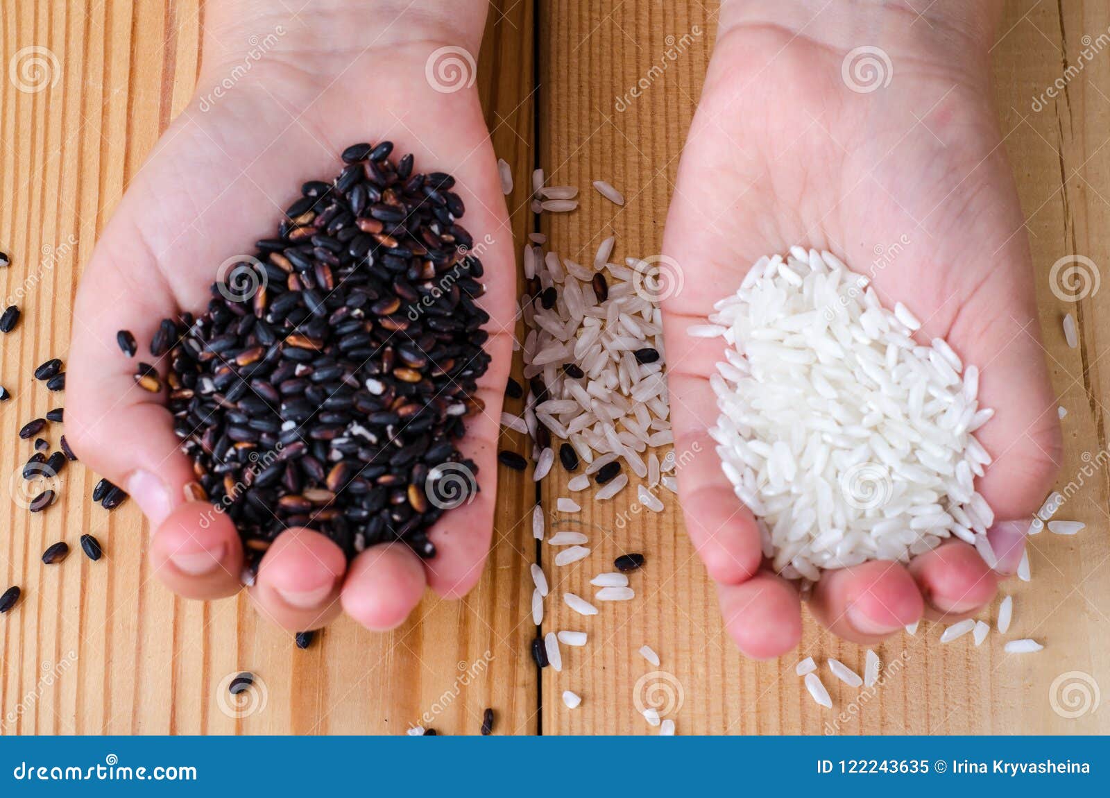 Black and White Rice in Hands Stock Image - Image of hold, handful ...
