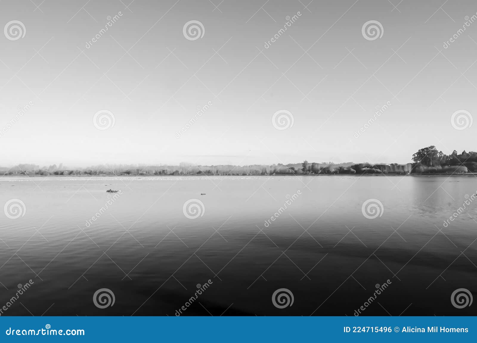 Black and White River Landscape Stock Photo - Image of seascape, view ...