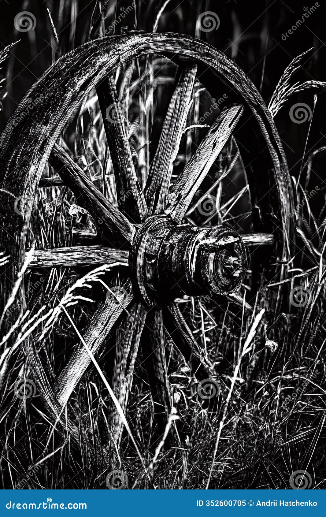 Black and White Scratch Engraving of a Rustic Wagon Wheel Surrounded by Tall Grass and Bold ...