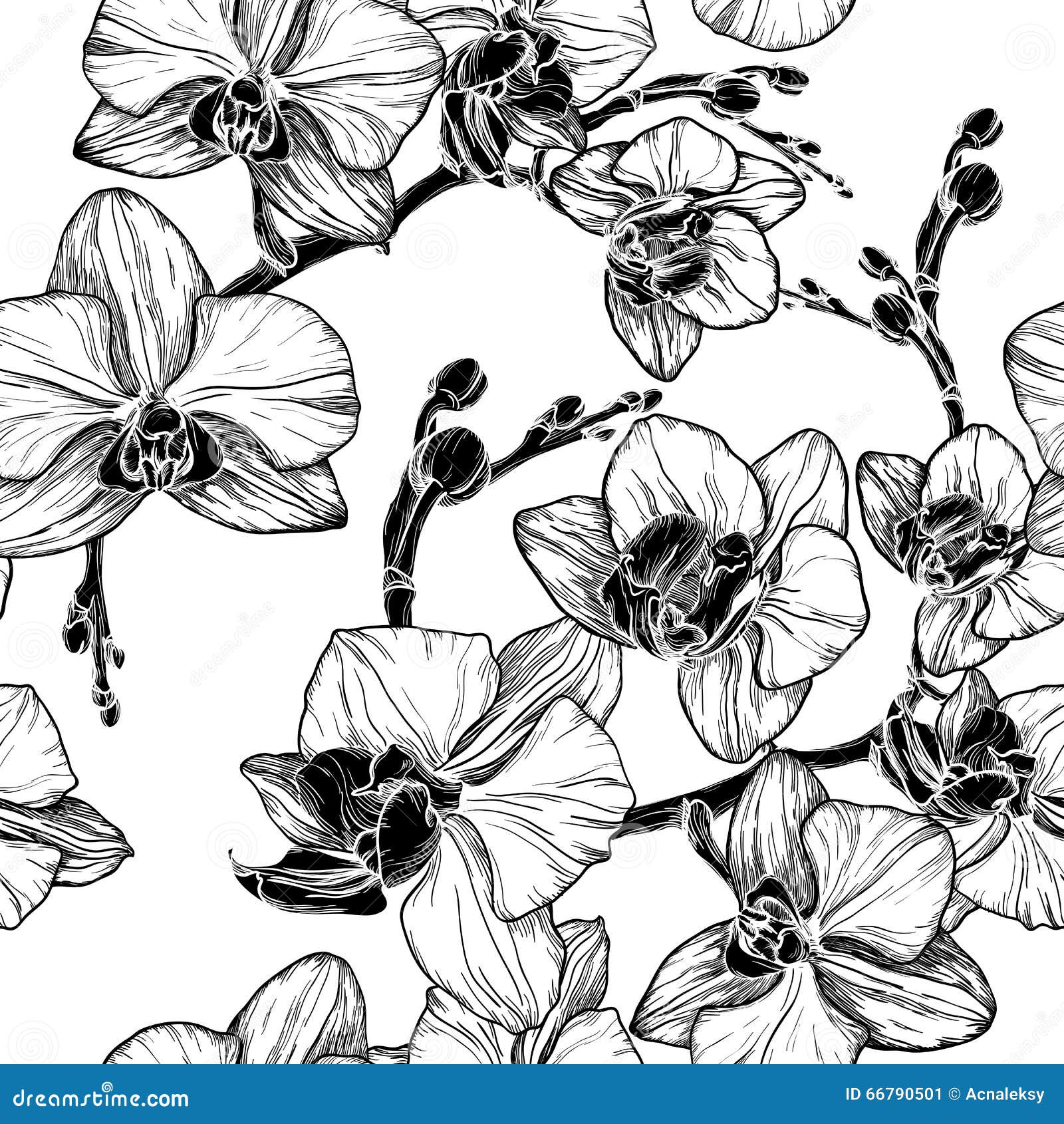 Black and White Seamless Pattern with Orchid Stock Vector ...