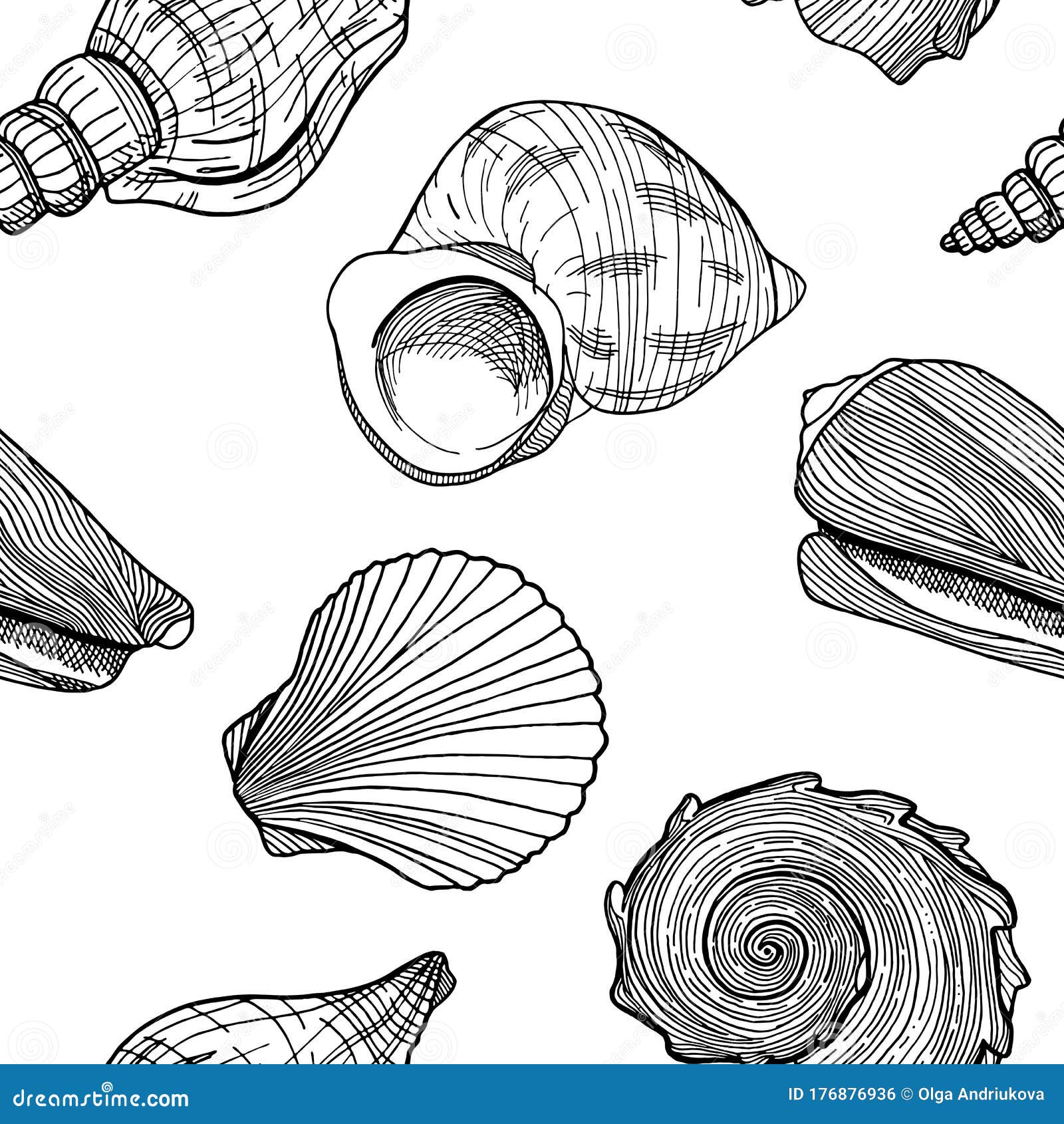 Black and White Seamless Pattern with Seashells. Hand Drawn Outline ...