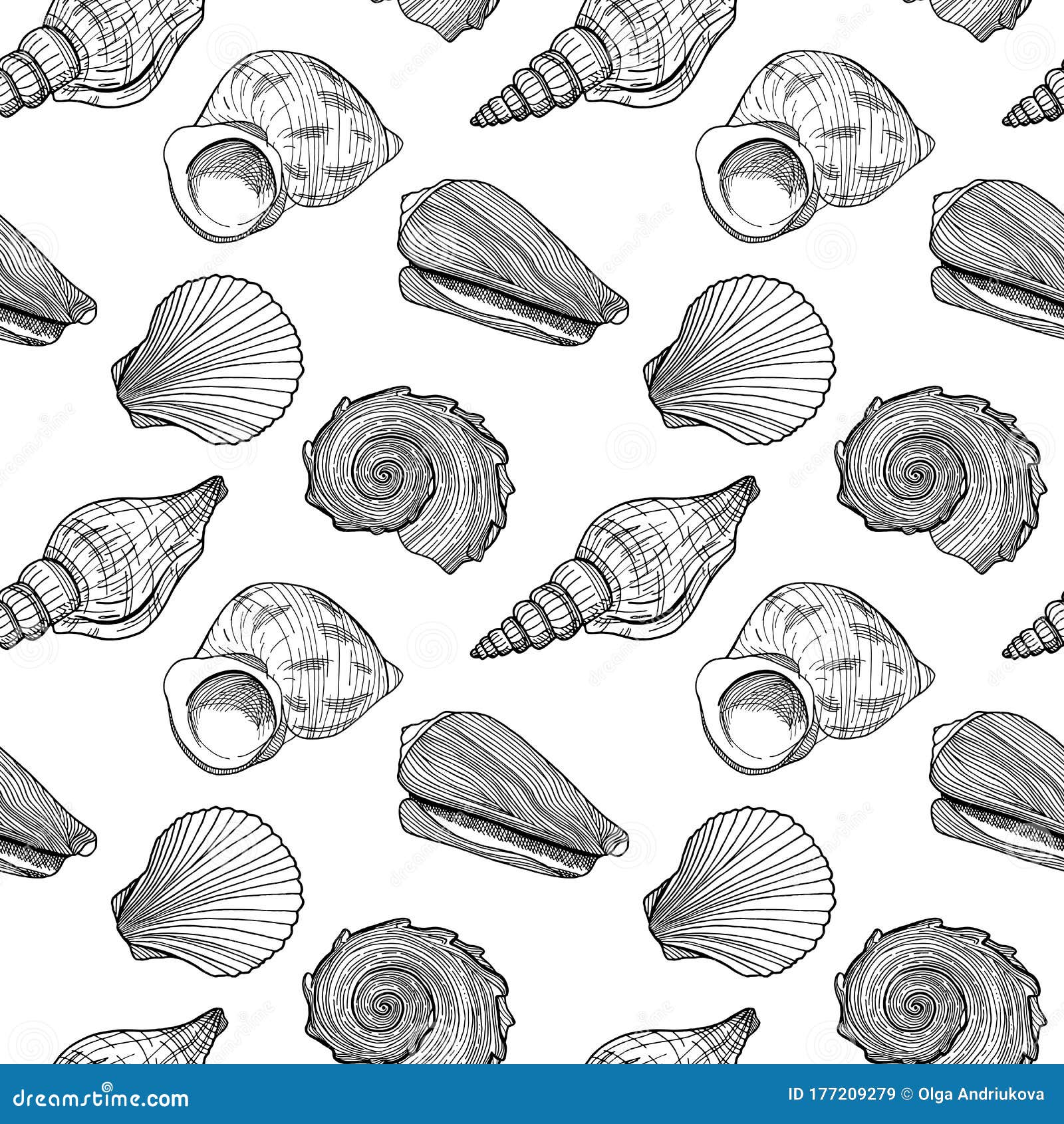 Black and White Seamless Pattern with Seashells. Hand Drawn Outline ...