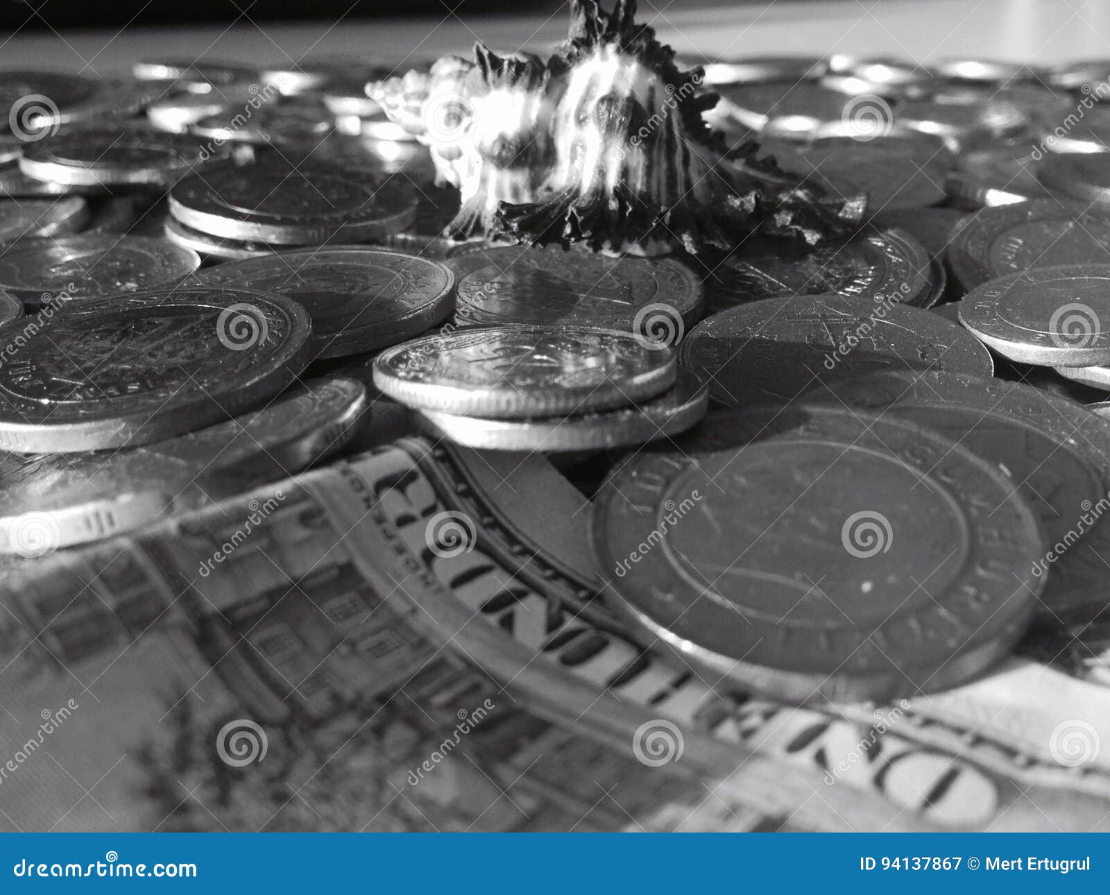 Black & White Seashell on Coins Stock Image - Image of euro, fintech ...