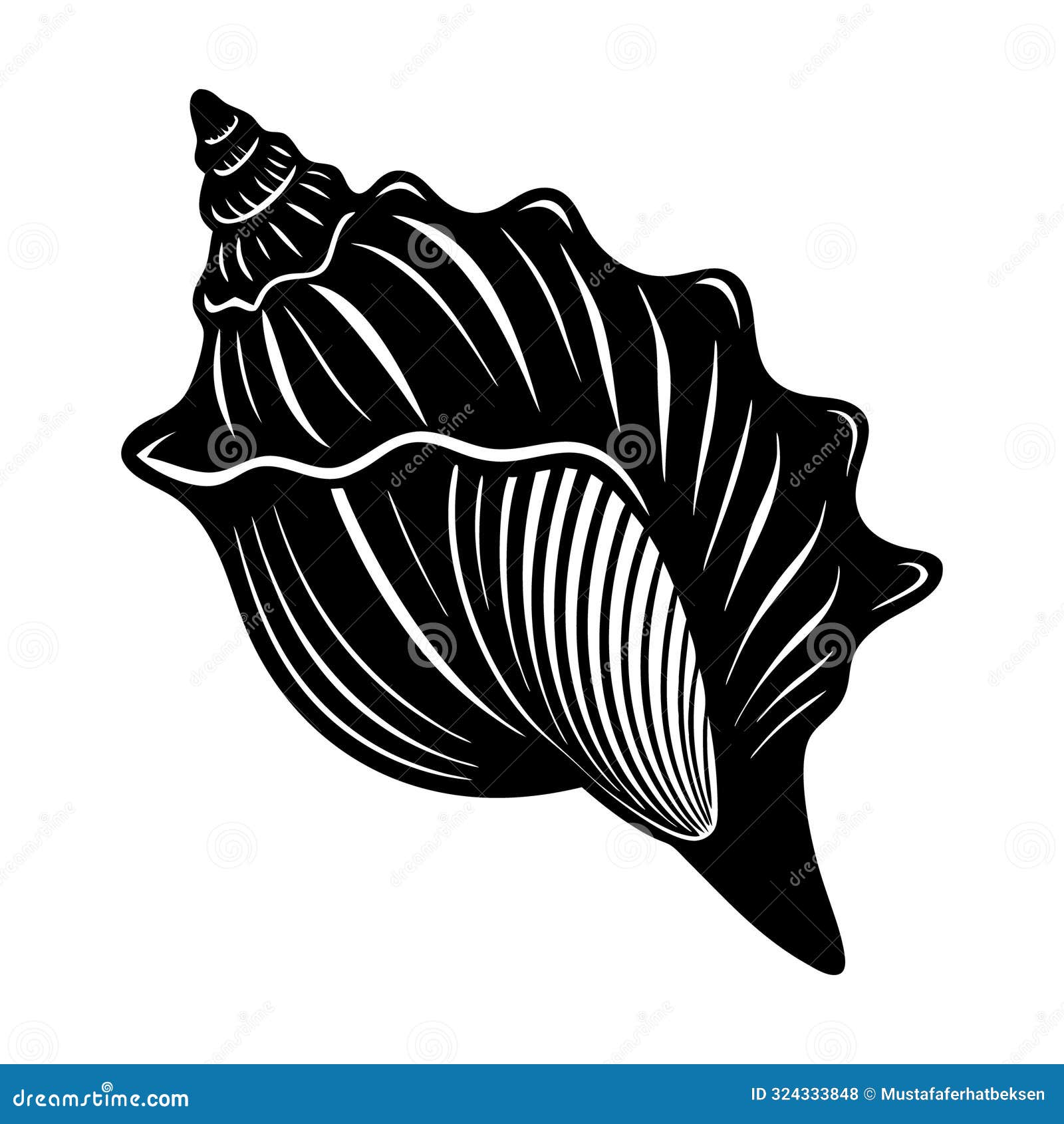 A Black and White Shell with a White Outline Stock Illustration ...