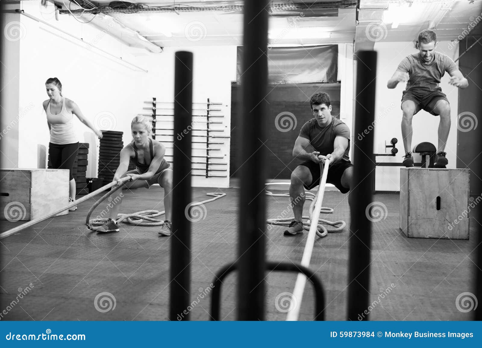 Black and White Shot of People in Gym Circuit Training Stock Photo ...