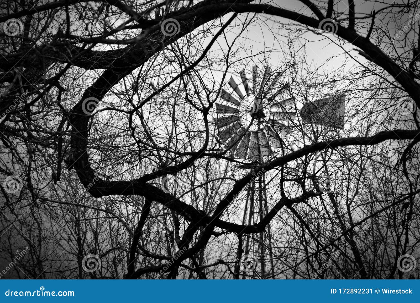 Black and White Shot of Windmill in Midst of Twisted Bare Tree Branches ...