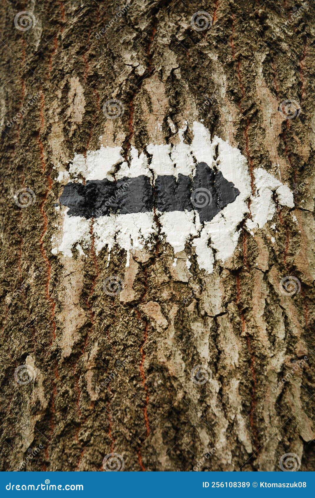 Black and White Sign on a Tree Painted with Paint. the Arrow Indicates ...