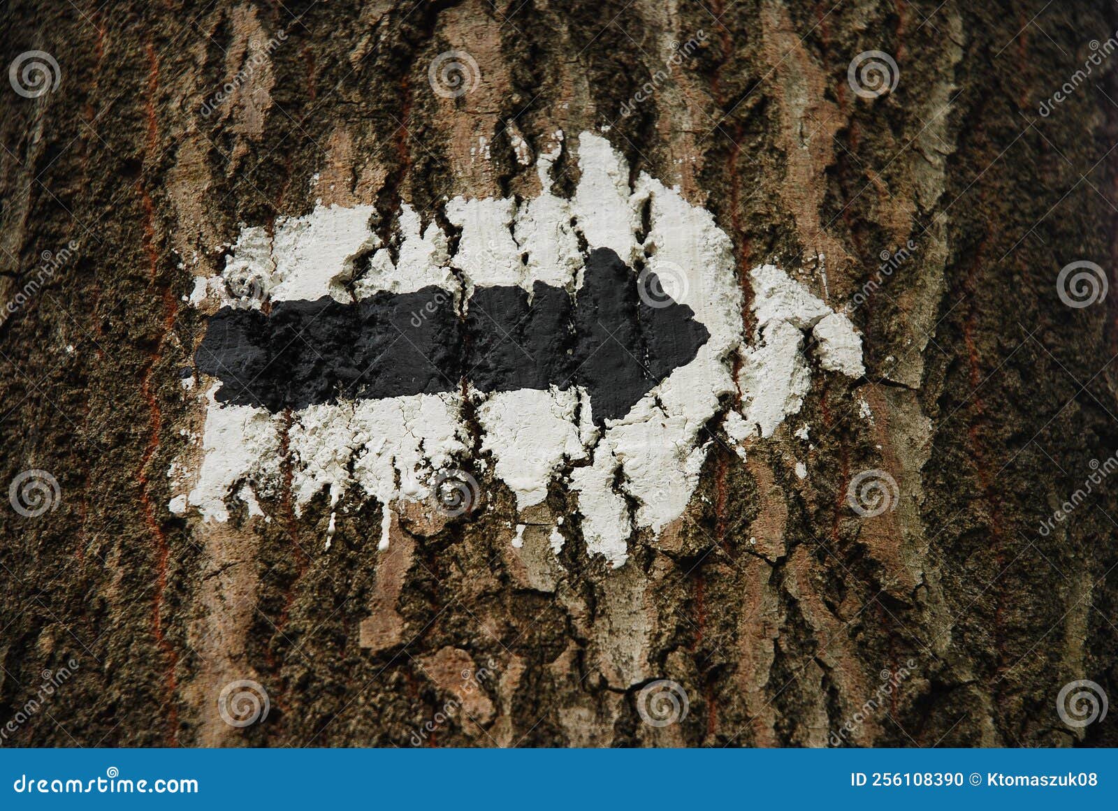 Black and White Sign on a Tree Painted with Paint. the Arrow Indicates ...