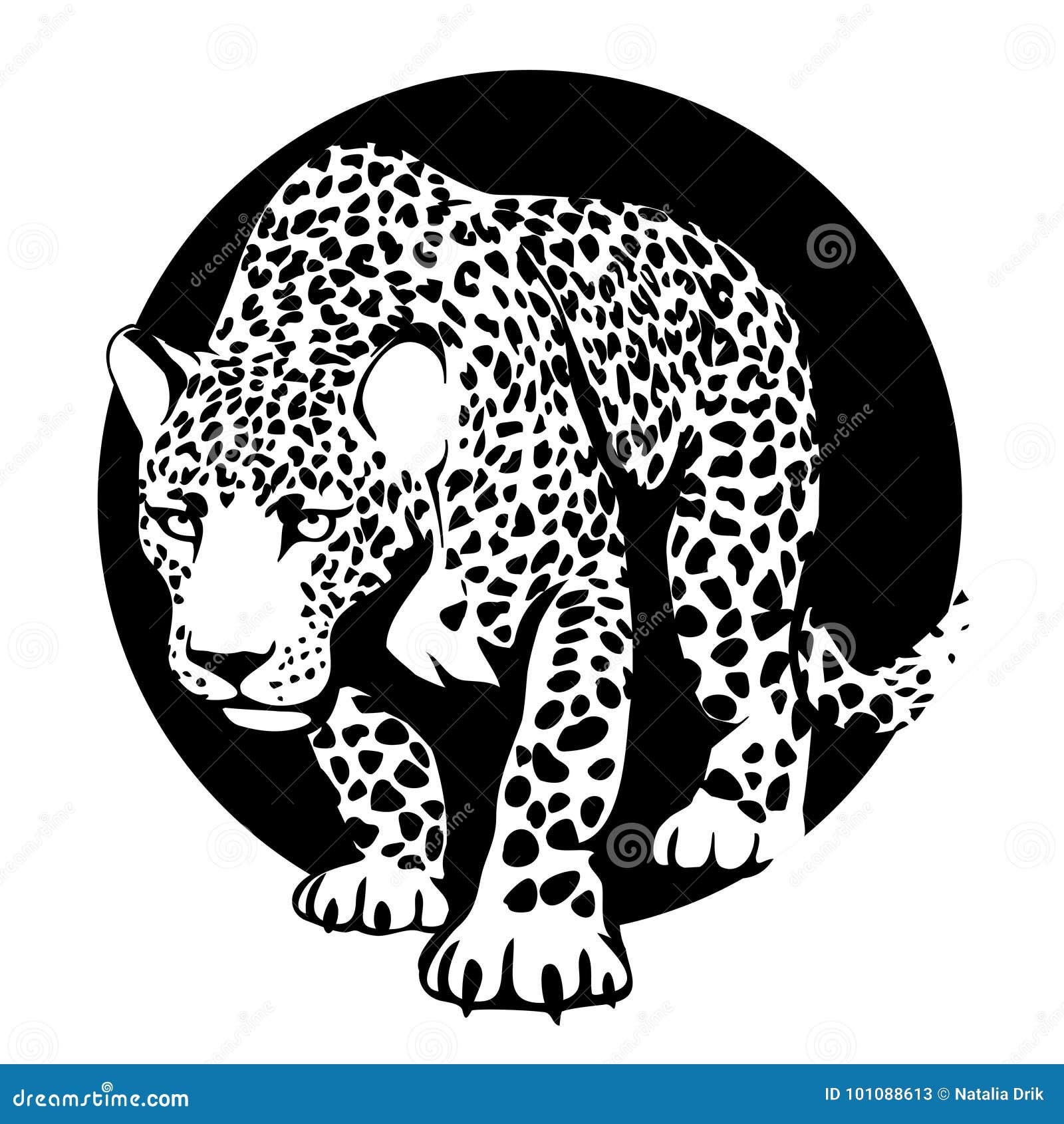 Jaguar, Leopard Print. Vector Seamless Pattern. Realistic Animal Skin ...