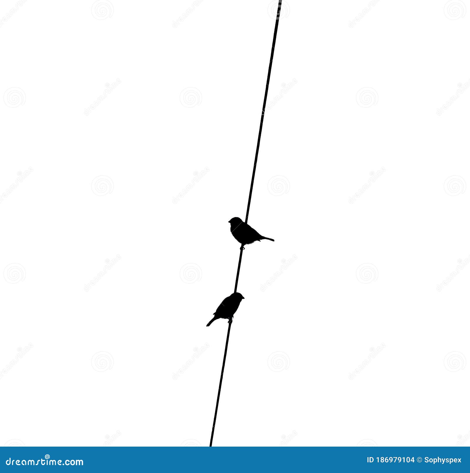 Black and White Silhouette of Two Sparrows Perched on a Wire Stock ...
