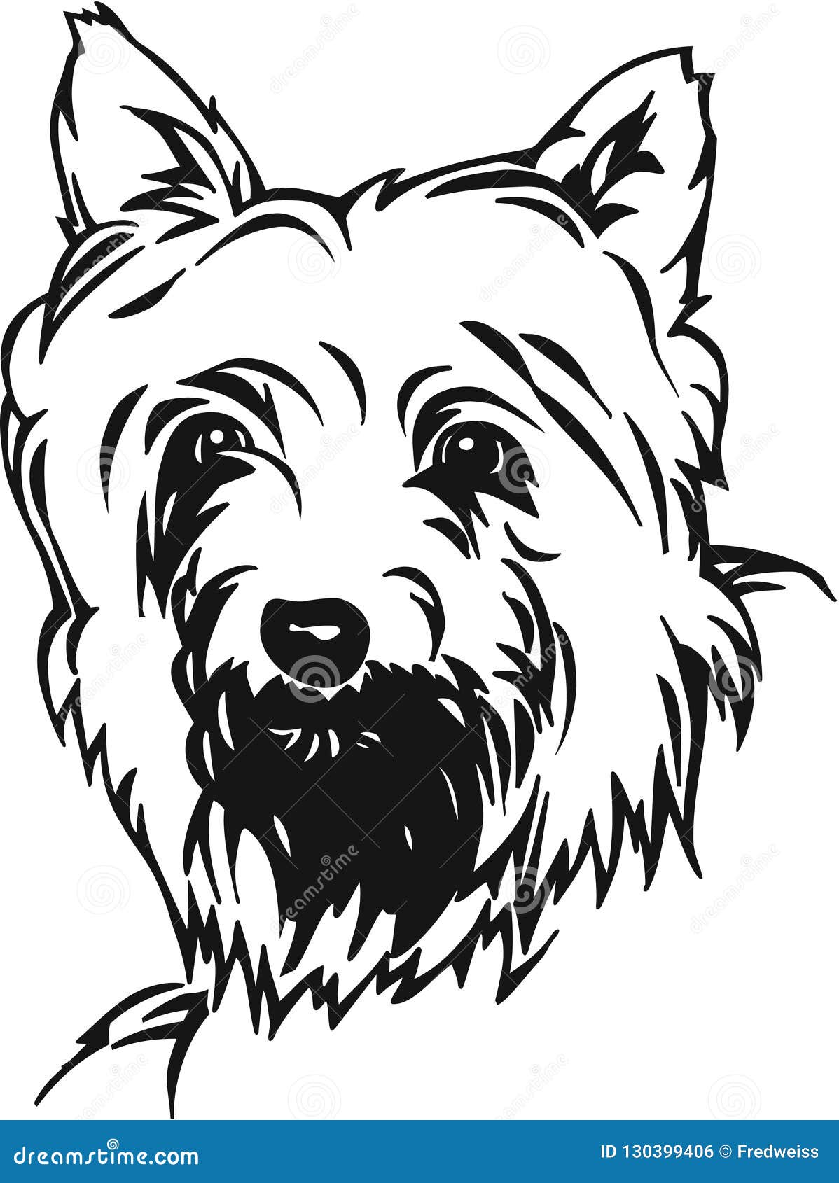 Black and White Silky Terrier Illustration Stock Vector - Illustration ...