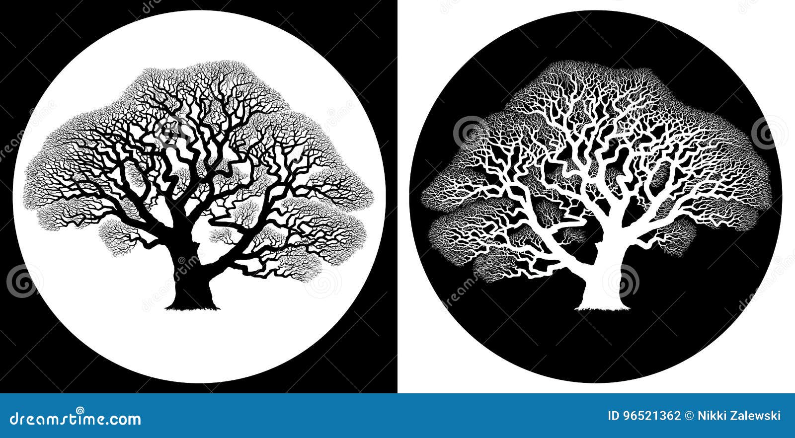 Oak Tree Skeleton Royalty-Free Stock Image | CartoonDealer.com #96521362