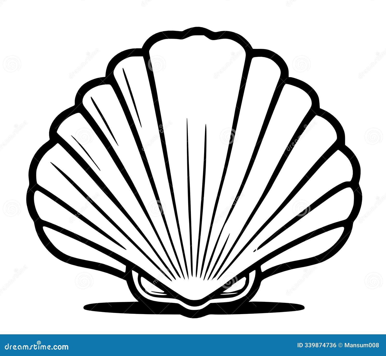 Black and White of Sketch of Seashell Stock Illustration - Illustration ...