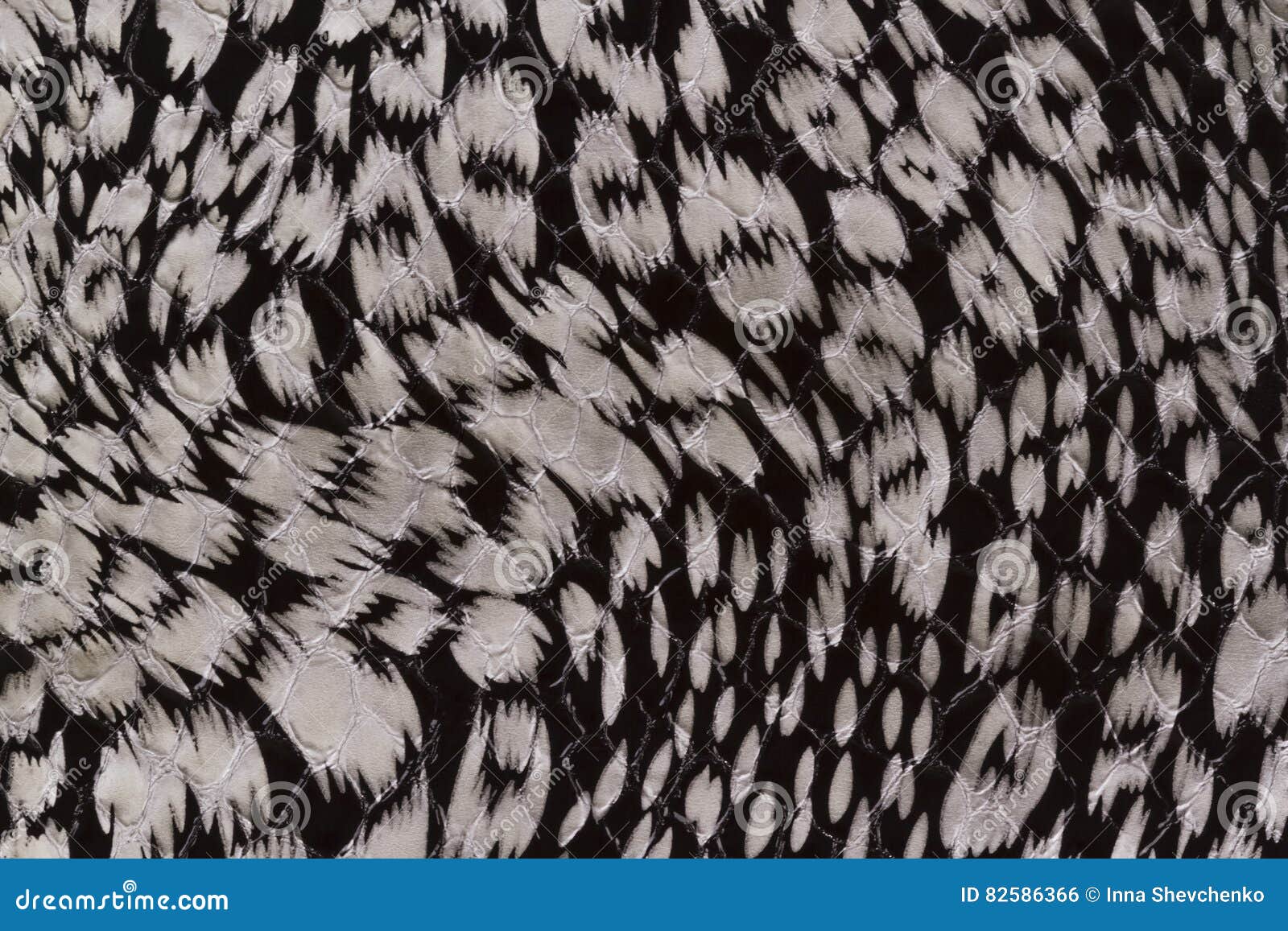 Black And White Skin Texture Stock Photography | CartoonDealer.com ...