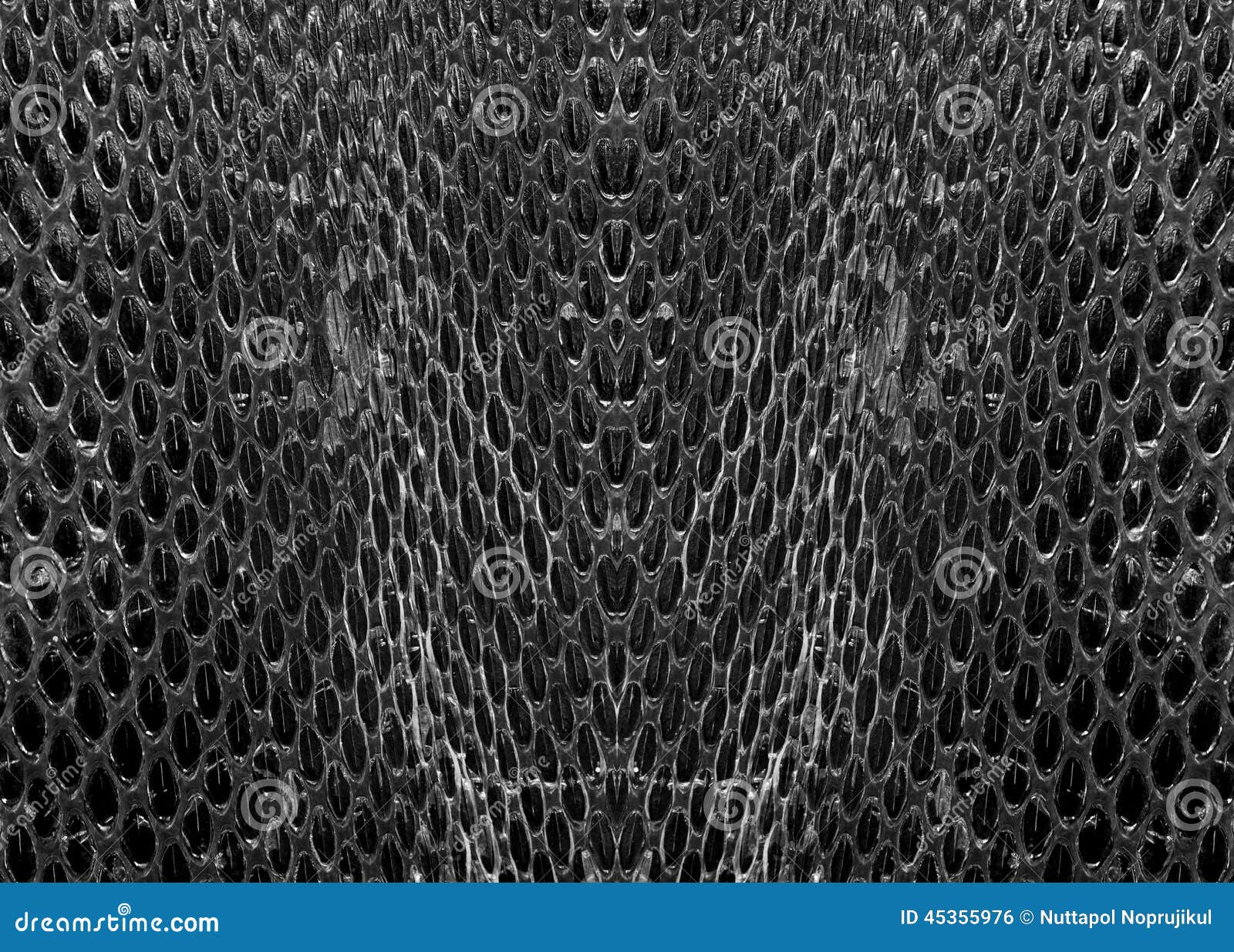 Black and white snake skin stock photo. Image of background - 45355976