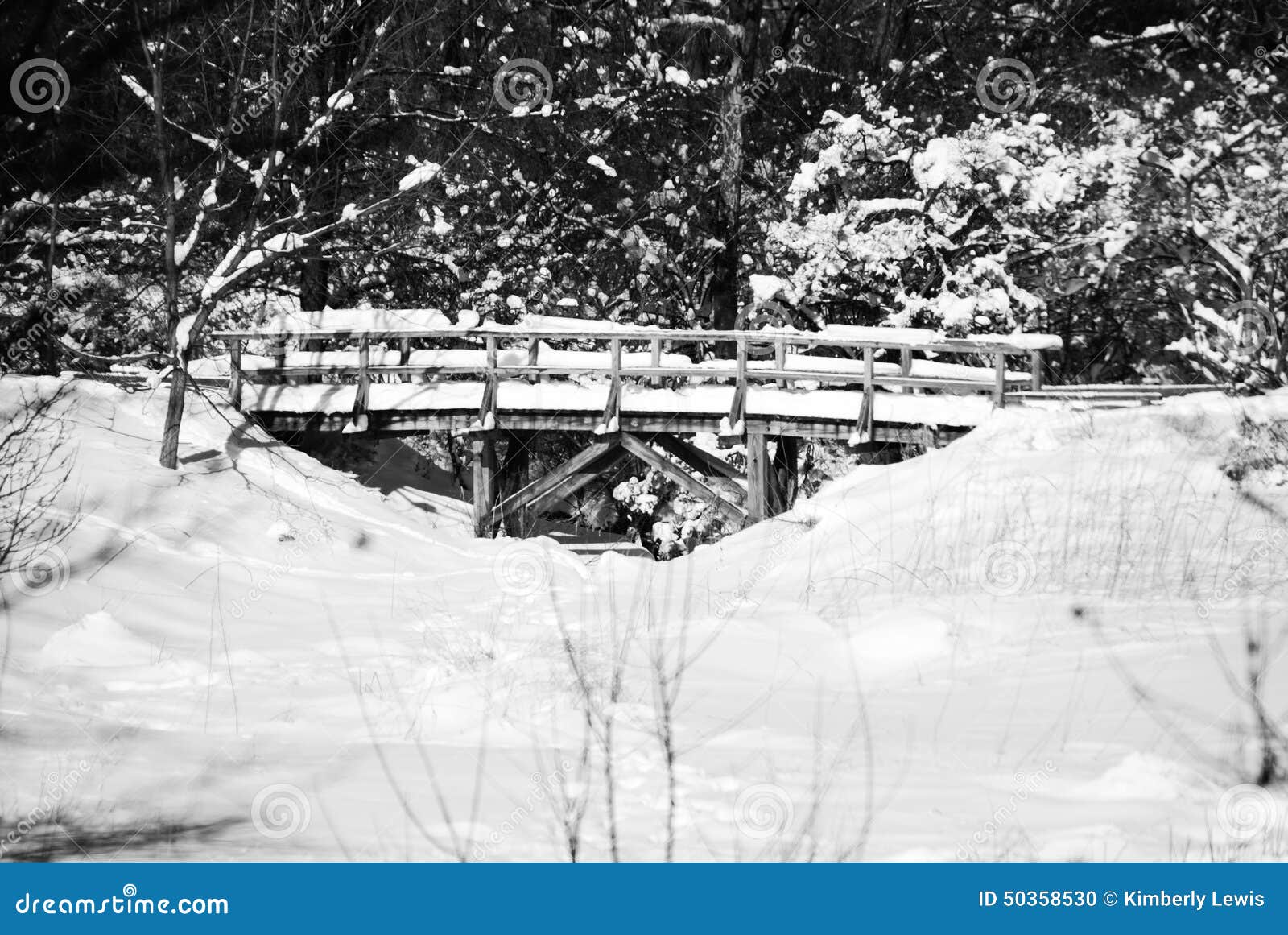 Black and White Snow Scene with Bridge. Stock Photo - Image of scenic ...