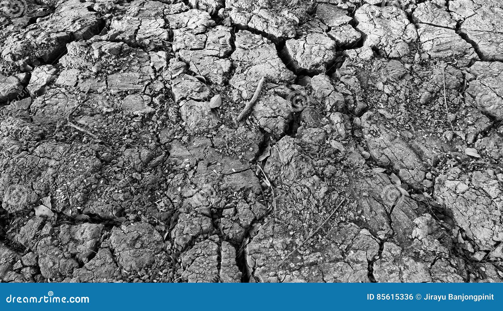 Black and white soil stock photo. Image of textured, black - 85615336