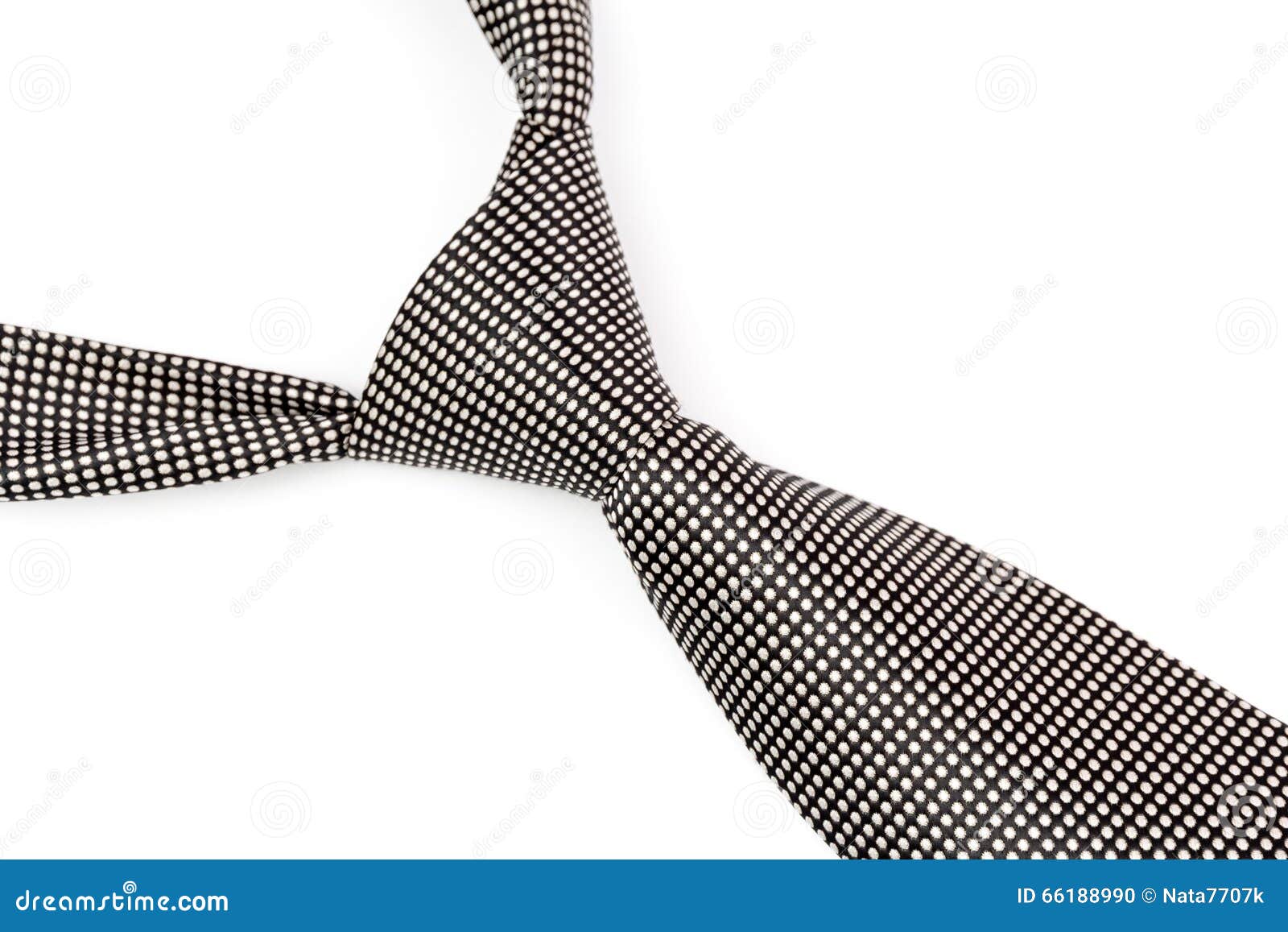 Black-and-white Spotted Tie Knotted Windsor Stock Photo - Image of ...