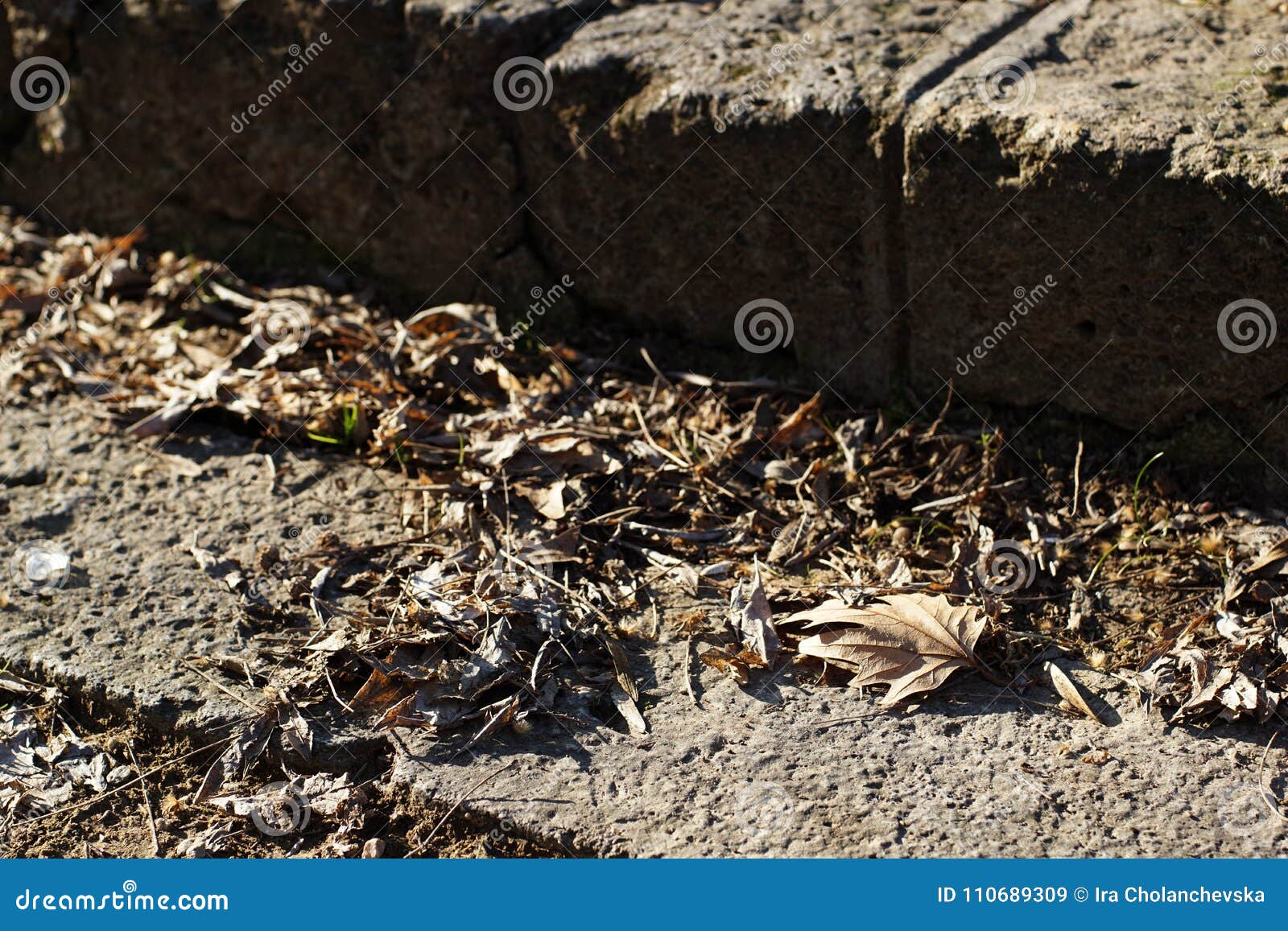 Day Of The Dead Stairs Royalty-Free Stock Photography | CartoonDealer ...