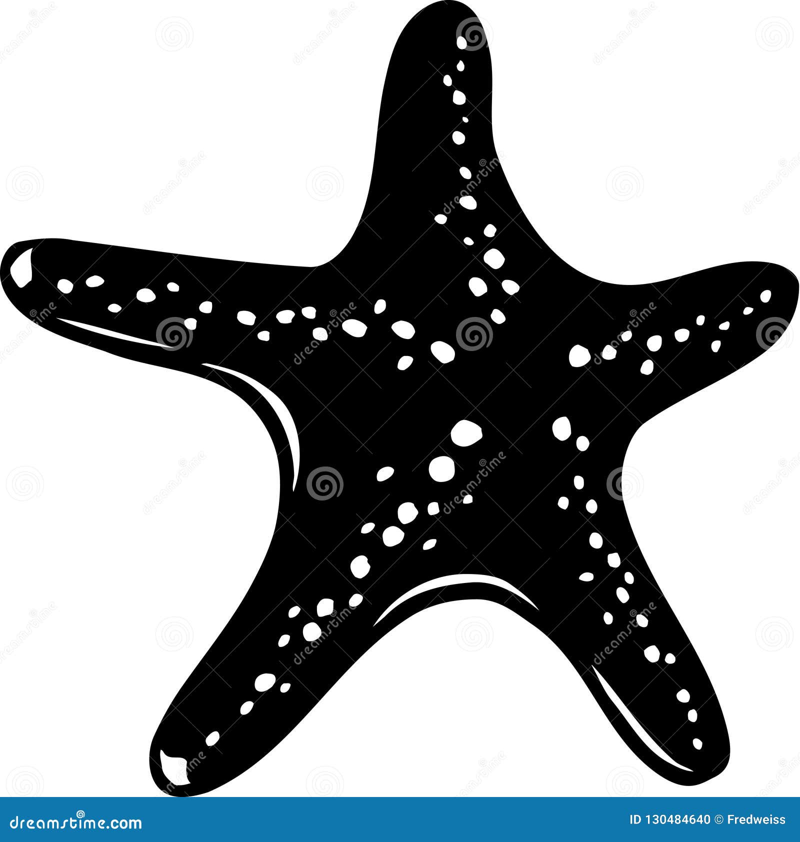 Black and White Starfish Illustration Stock Vector - Illustration of ...