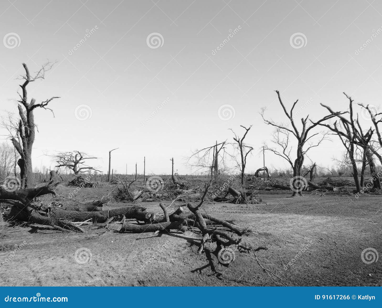 Black & White Storm Damage Stock Photo - Image of fallen, accident ...