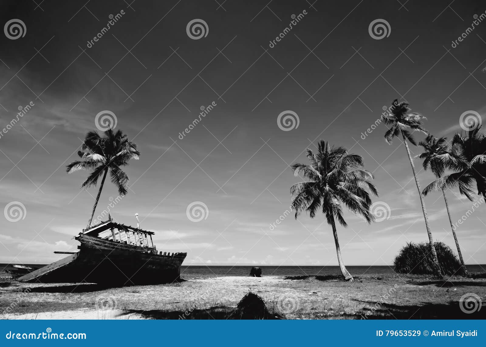 Black and White Stranded Shipwrecked Stock Image - Image of vintage ...