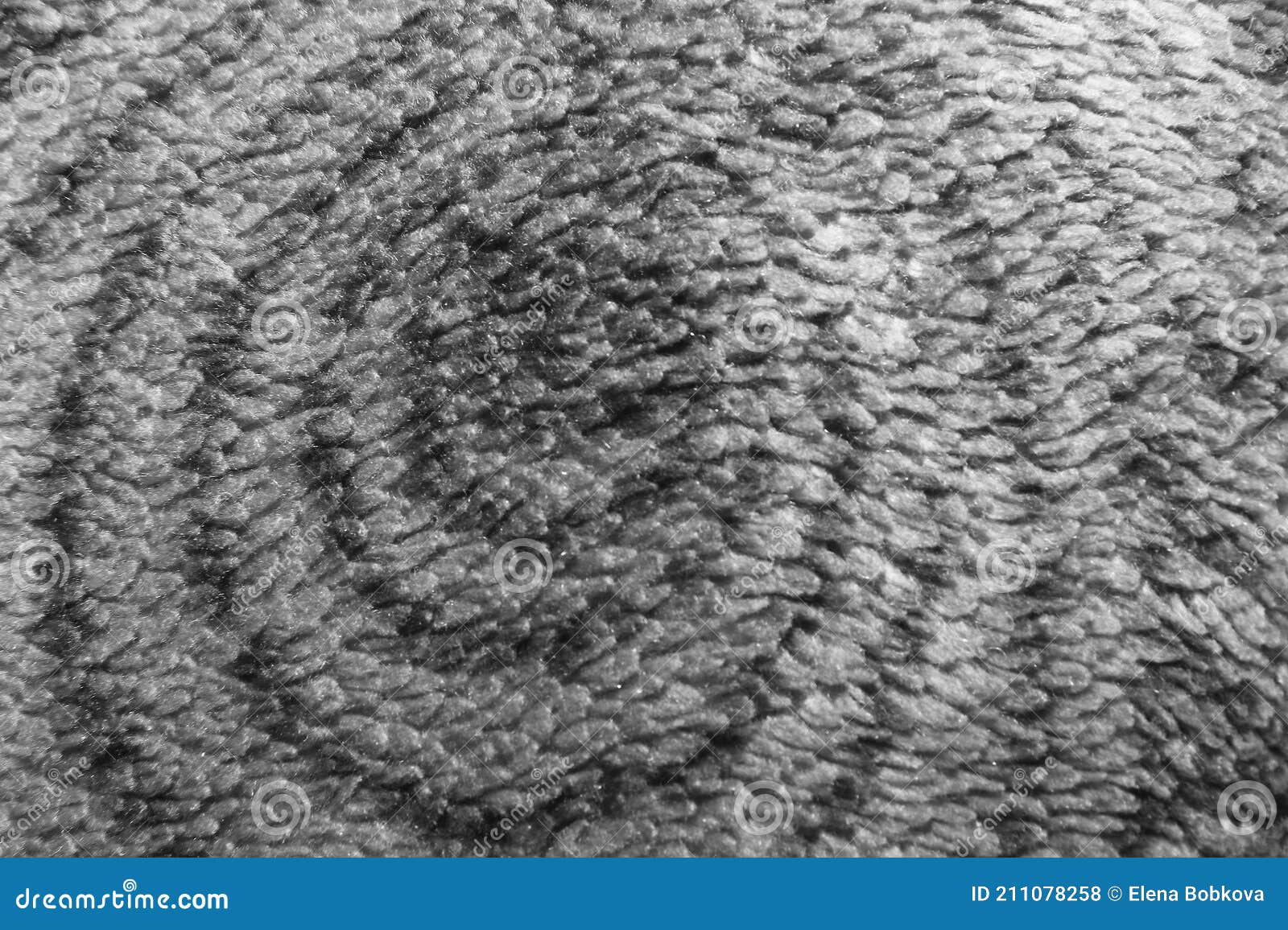 Black and White Streaks on the Plush Surface in the Form of Circles ...