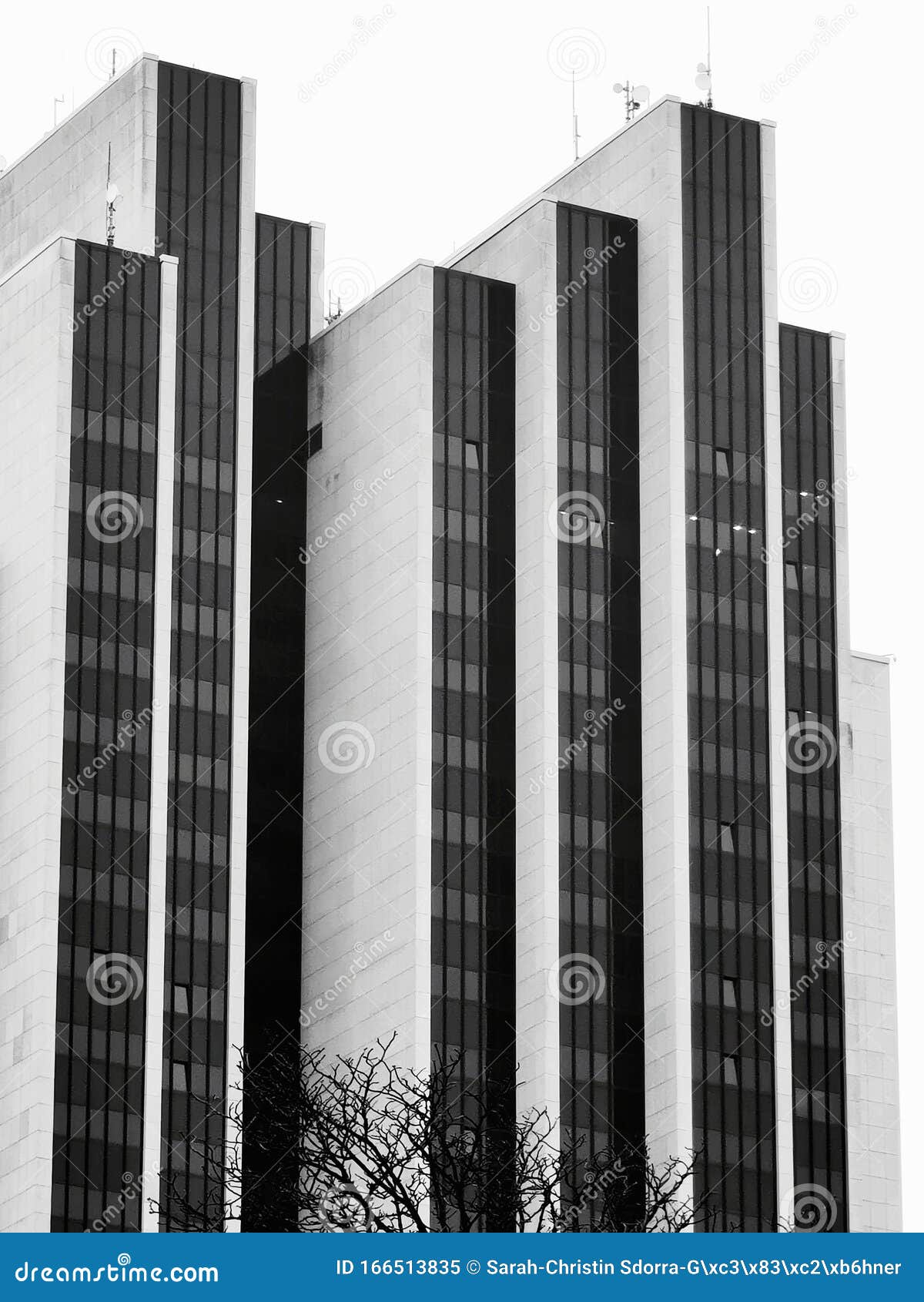 Black and White, Structures and Forms, that is Modern Architecture ...