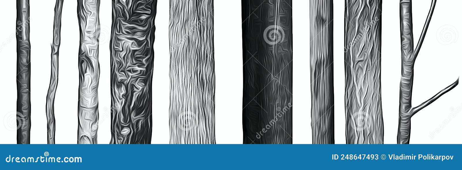 Black and White Stylized Drawing of Tree Trunks Stock Illustration ...