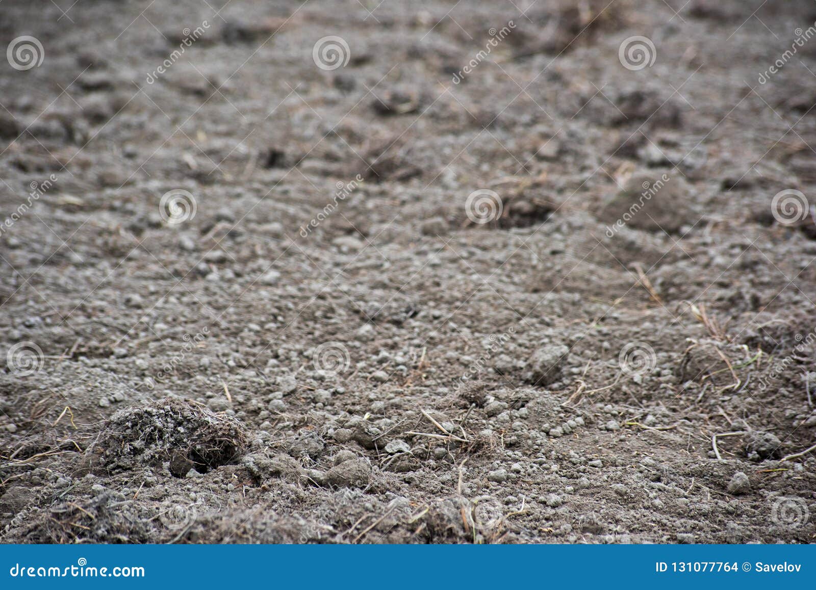 Monochrome Surface of Dry Ground Stock Photo - Image of surface ...