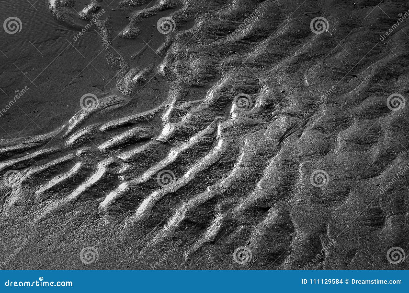 Black and White Texture Sand from the Beach Stock Photo - Image of sand ...